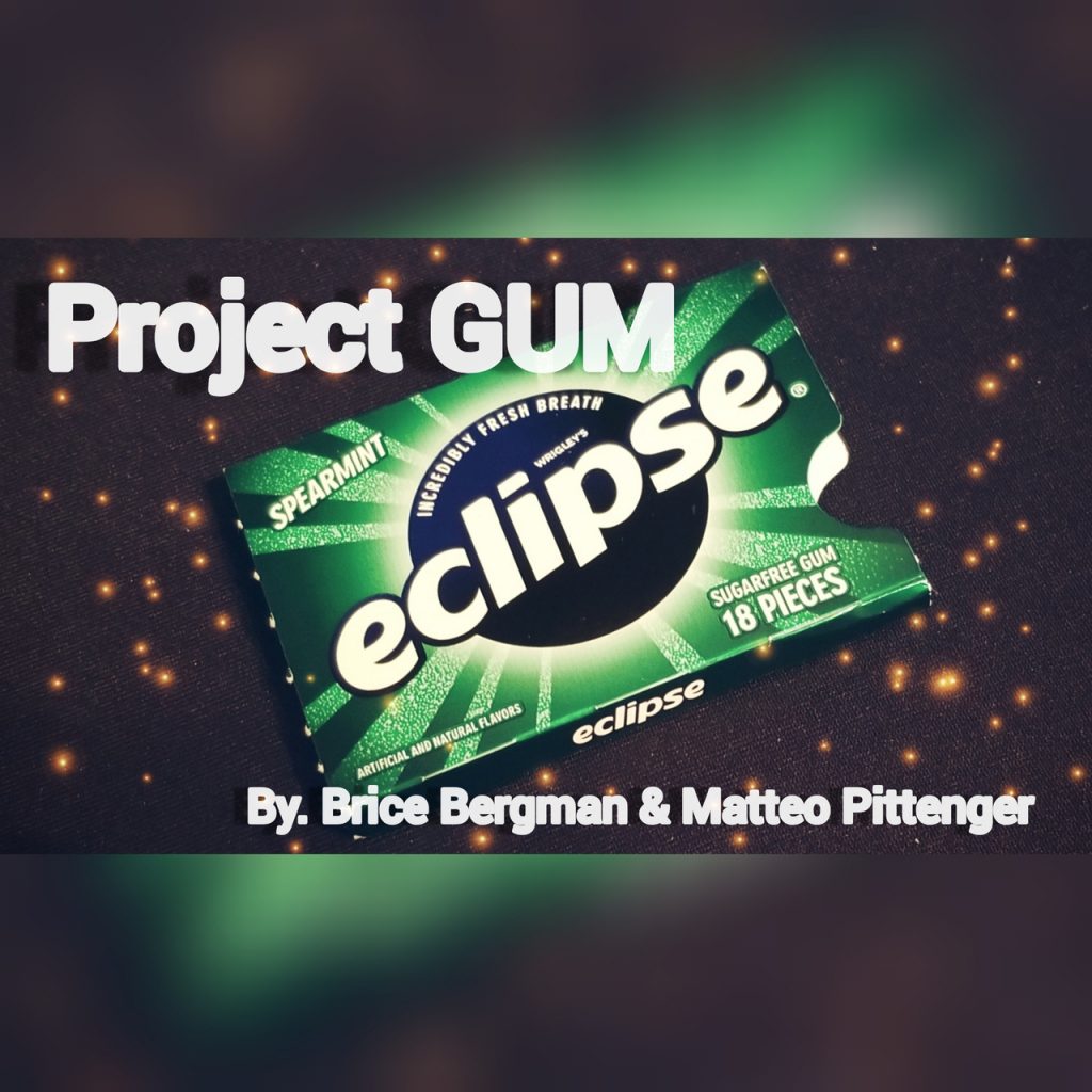 Brice Bergman & Matteo Pittenger – Project Gum (Everything included ...